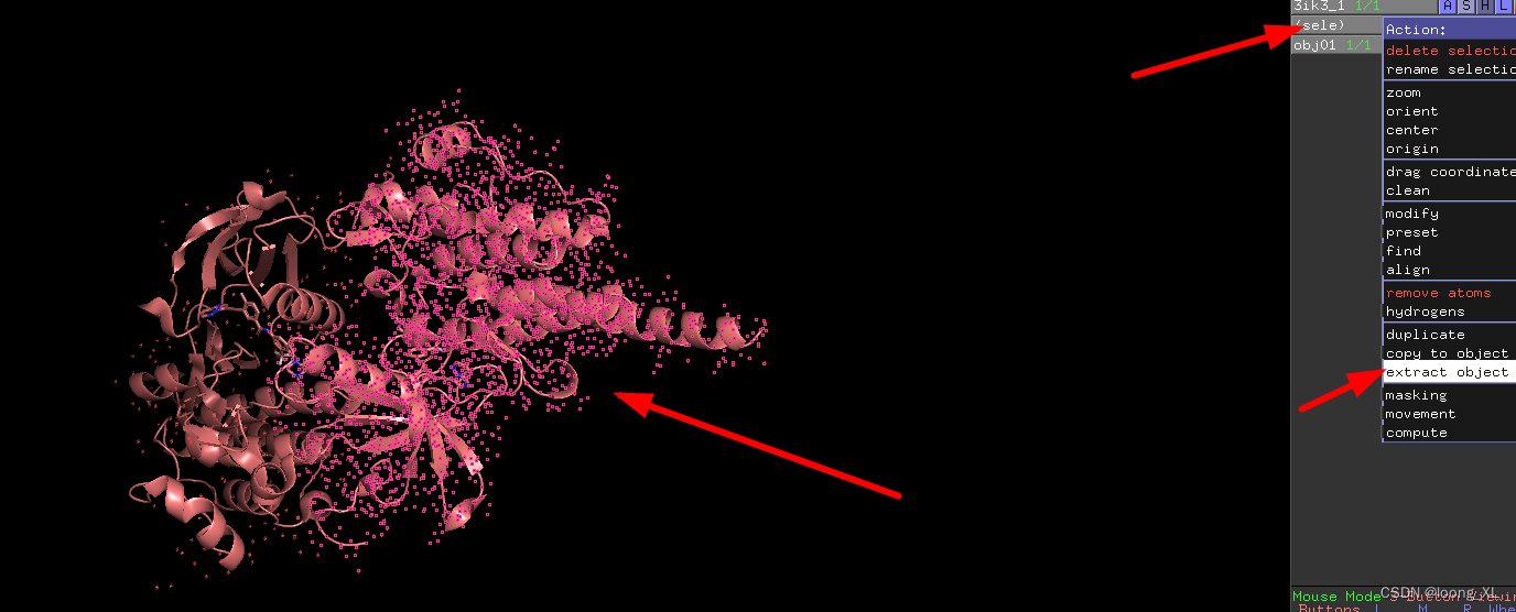 pymol 分离蛋白与小分子保存；pymol分离蛋白多聚体亚基；pymol对接位点交互图展示；去除杂原子_loong_XL的博客-CSDN博客