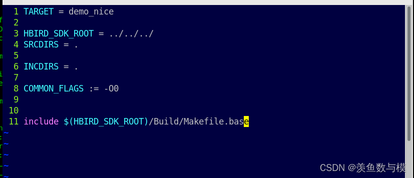 蜂鸟E203核Risc-v基础案例（协处理器设计，自定义指令扩展）-CSDN博客