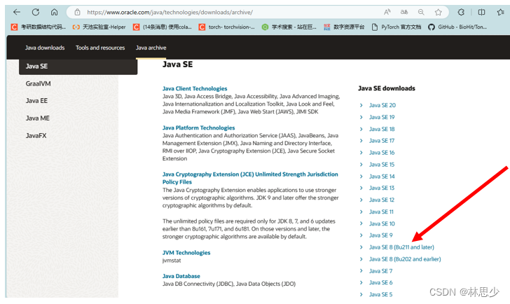 Windows系统安装java开发环境配置windosw系统java运行环境 Csdn博客 