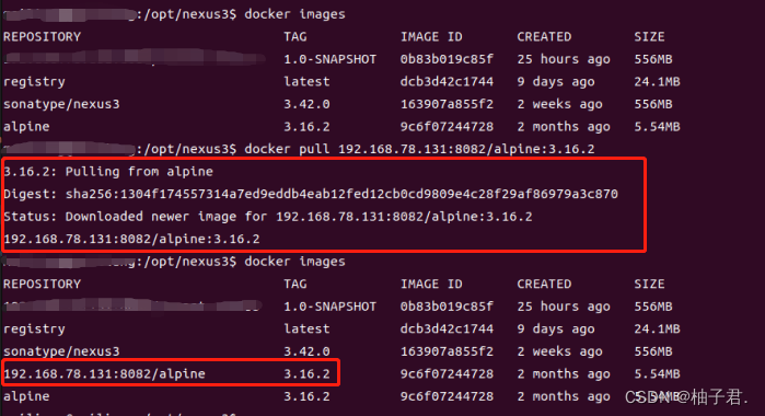 使用Nexus3搭建内网Docker私仓_nexus docker私有仓库-CSDN博客