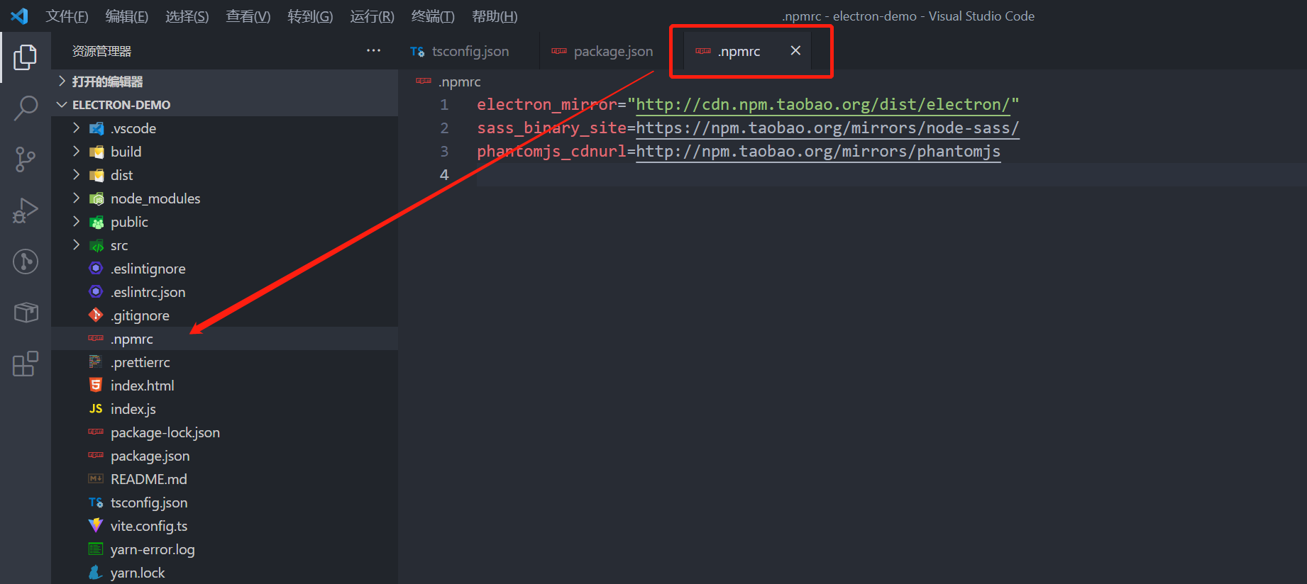 【Electron】关于Electron安装依赖报错问题解决_electron .报错-CSDN博客