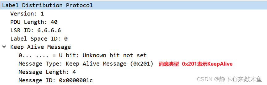 MPLS——LDP四种消息类型及其报文、五种状态_ldp报文的4种类型_静下心来敲木鱼的博客-CSDN博客