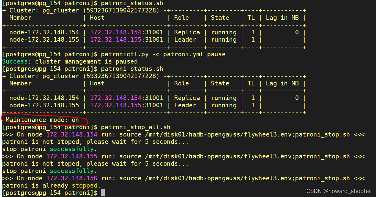 Patroni的pause和resume功能_pause resume-CSDN博客