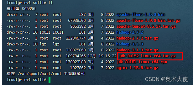 linux安装jdk1.8_linux安装jdk1.8csdn-CSDN博客