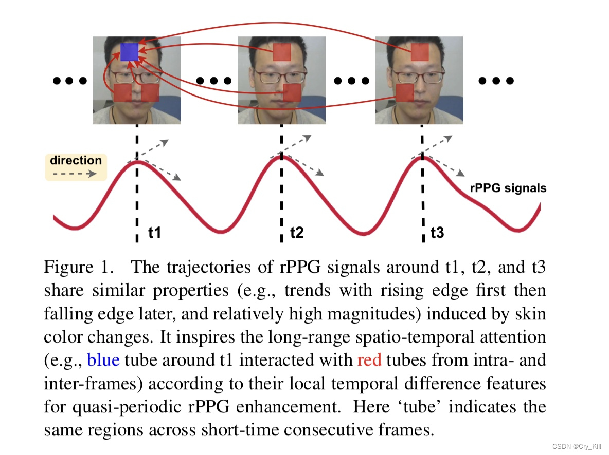 PhysFormer_physformer++-CSDN博客