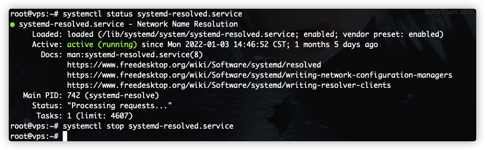 【渗透测试】CS DNS上线（DoH隧道技术实践浅析）-CSDN博客