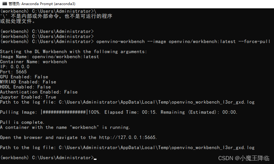 OpenVINO 模型性能评估工具—DL Workbench（02）_openvino模型评估-CSDN博客