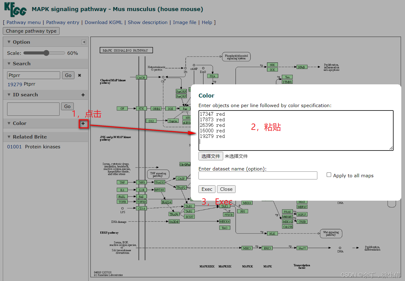 手把手教你给KEGG pathway图标注颜色_kegg通路图红色字体-CSDN博客