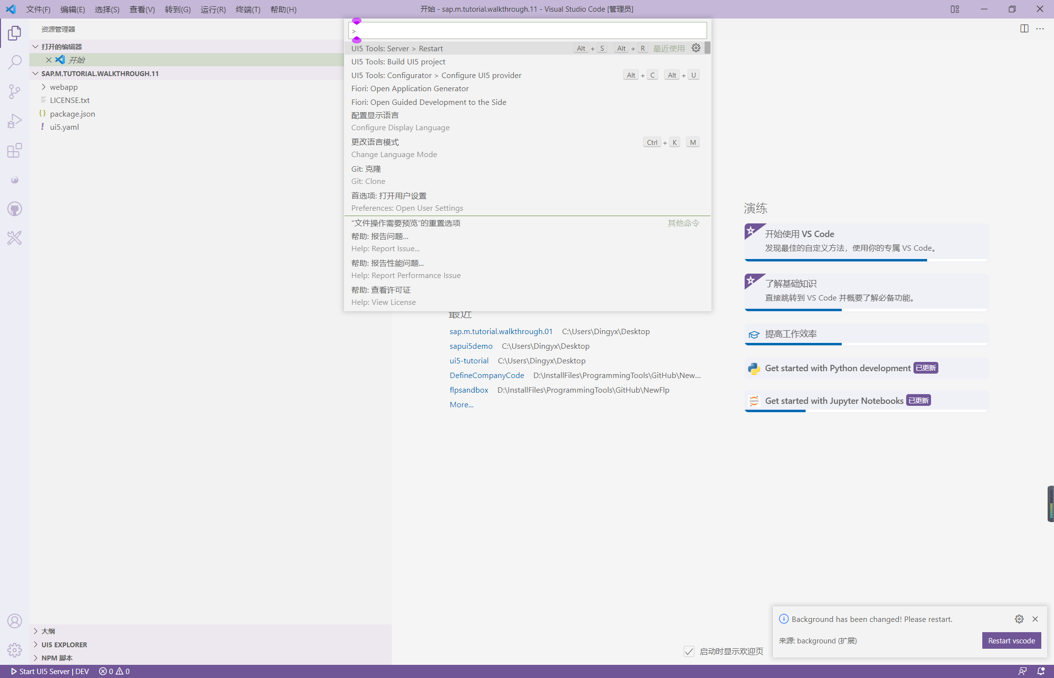 VS Code 启动SAP UI5应用_vscode如何运行sap ui5-CSDN博客