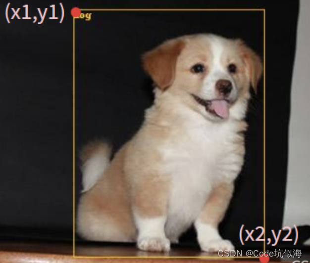 目标检测的boundingbox的几种表示方法opencv Bounding Box目标识别 Csdn博客