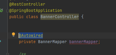 Cannot invoke “com.**.mapper.**Mapper.insert(Object)“ because “this.**Mapper“ is null_cannot ...