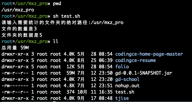 Linux Script Statistics Specify The Number Of Files And Folders Under The Directory Programmer