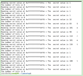 从入门到入土：[SEED-Lab]-幽灵攻击|Spectre Attack Lab|详细说明|实验步骤|实验截图_seedubuntu20.04中的xxs攻击实验-CSDN博客