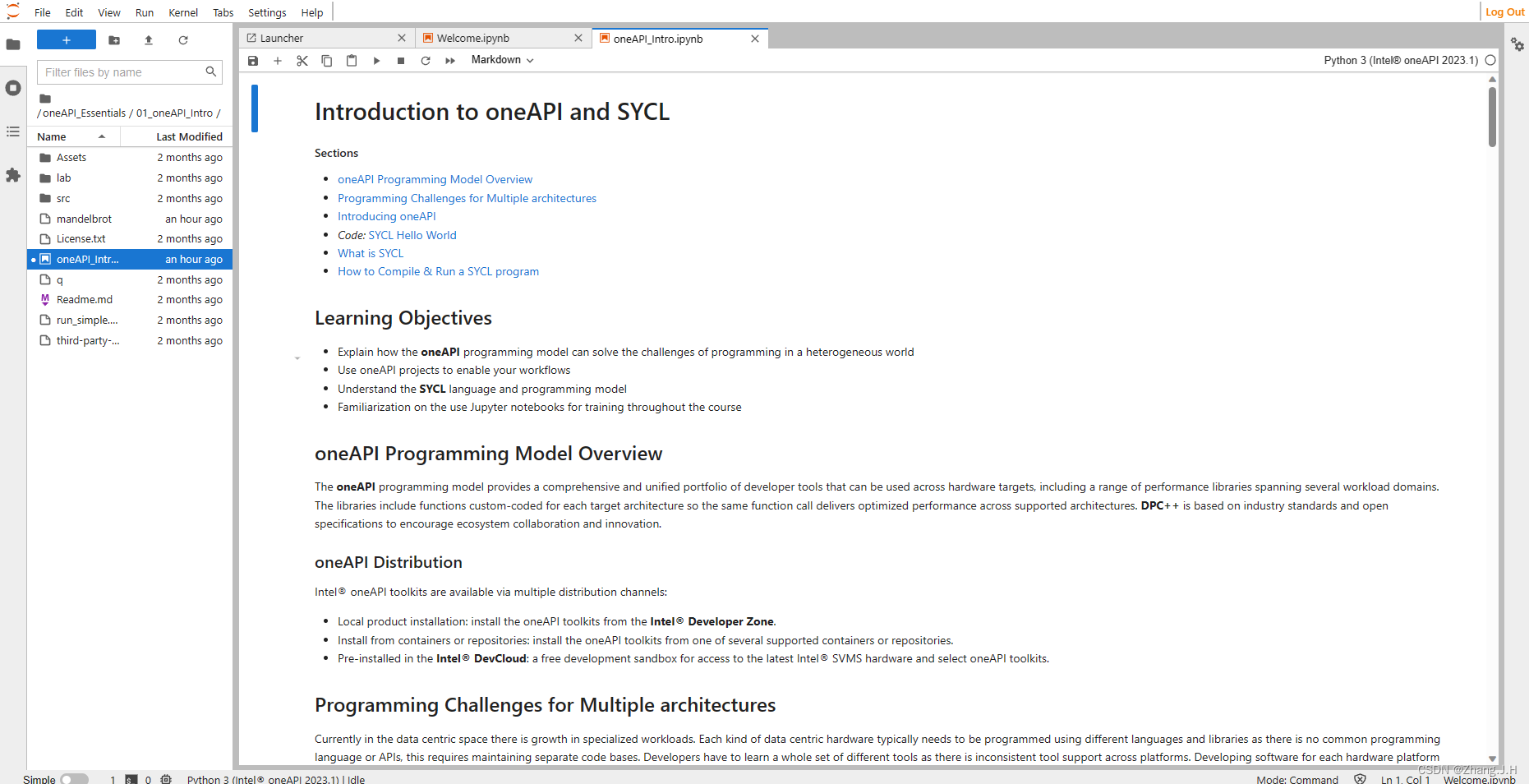 DLUT操作系统上机补充实验 —Intel® DevCloud for oneAPI-CSDN博客