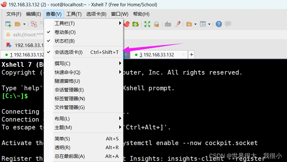 xshell同一个连接打开多个会话_xshell同时显示两个会话-CSDN博客