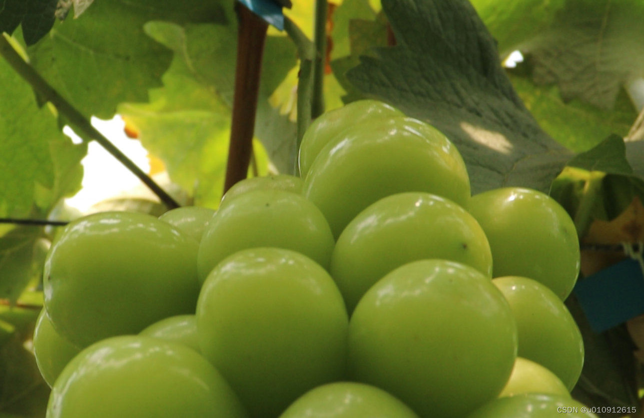 做单片机嵌入式开发，数组c语言形式的图片，后缀如c、h的文件，用python读取显示并还原保存成普通图片格式文件，各种网络都搜不到这样的转换程序单片机 图像处理 Csdn Csdn博客