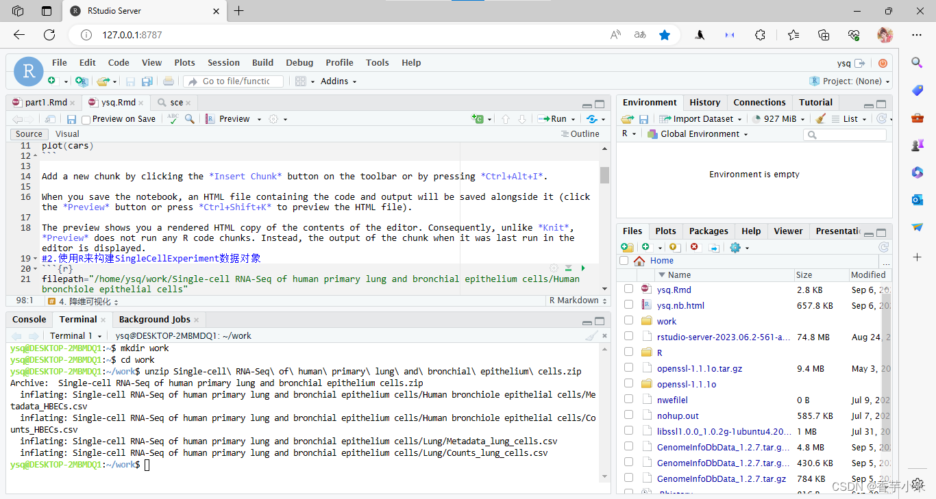 WSL2下载R和Rstudio的使用_wsl怎么装r-CSDN博客