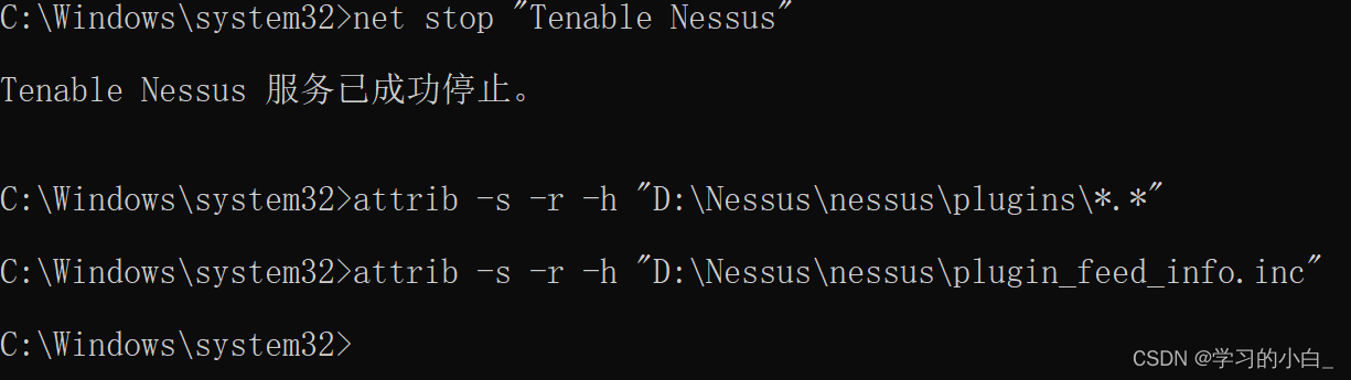 Windows——Nessus安装(无限制)_nessus安装windows-CSDN博客