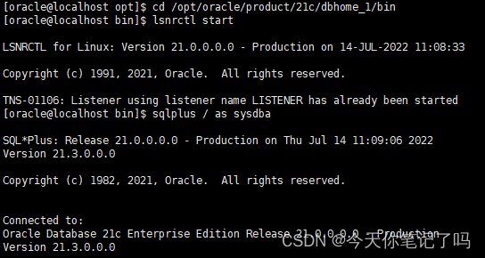 centos7.9安装oracle21c_oracle 21c 预安装检测包-CSDN博客