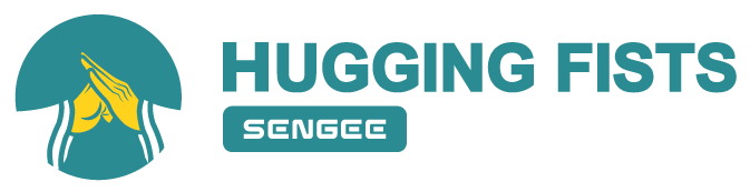 Hugging “Hugging Face“_huggingface 418-CSDN博客