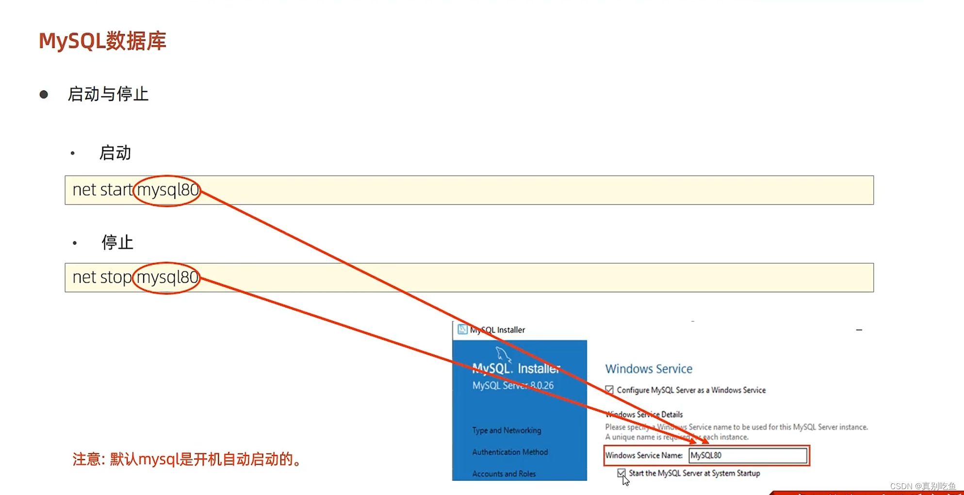 数据库原理与应用(基于mysql)(一)数据库理论与应用是mysql吗 Csdn博客