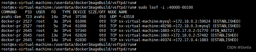 Linux怎么查看并杀死被占用端口？如何查看端口占用（netstat、lsof、telnet）（查询端口）（检查一定范围端口占用情况）_linux查杀端口-CSDN博客