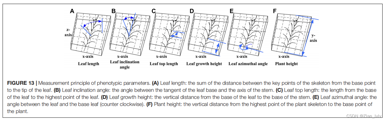 【阅读整理】An Accurate Skeleton ExtractionApproach From 3D Point Clouds of Maize Plants_an accurate ...