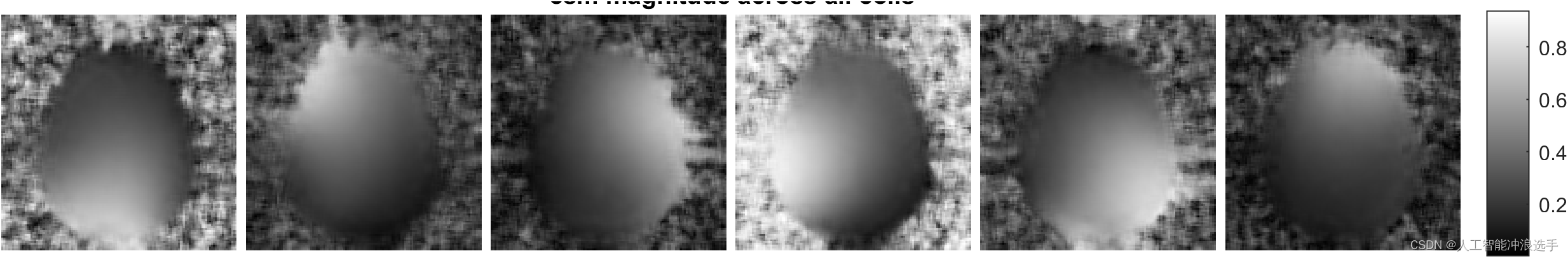 并行成像 之 Coil sensitivti map 估计 (绝对相位和相对相位)_张哥coder的博客-CSDN博客