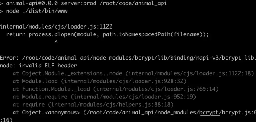 CentOS上部署node报错：node_modules/bcrypt/lib/binding/napi-v3/bcrypt_lib.node: invalid ELF header-CSDN博客