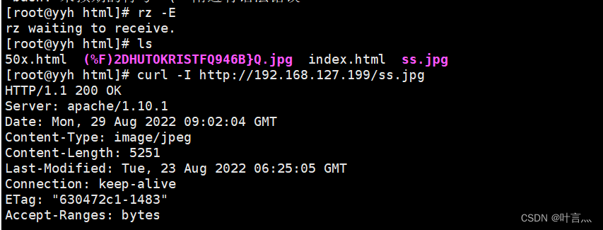 Nginx性能优化nginx 优化请求速度 Csdn博客