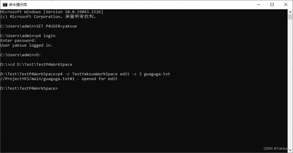 学习使用命令行执行P4操作_p4 client-CSDN博客