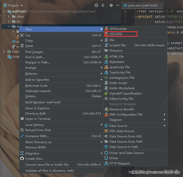 idea创建jsp文件_idea怎么创建jsptag文件-CSDN博客