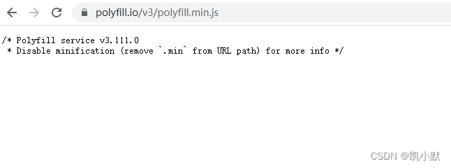 webpack优化篇（五十）：使用动态 Polyfill 服务_polyfill.min.js-CSDN博客