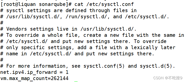 Docker：SonarQube的安装配置_sonarqube docker安装-CSDN博客