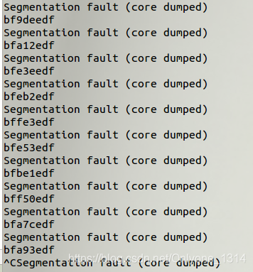 软件安全实验——lab9（缓冲区溢出：return-to-libc绕过非可执行堆栈）_return-to-libc示例-CSDN博客