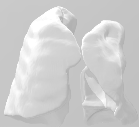 VTK: STL (vtkPolyData) 转 Mask（vtkImageData）_vtkimagemask-CSDN博客