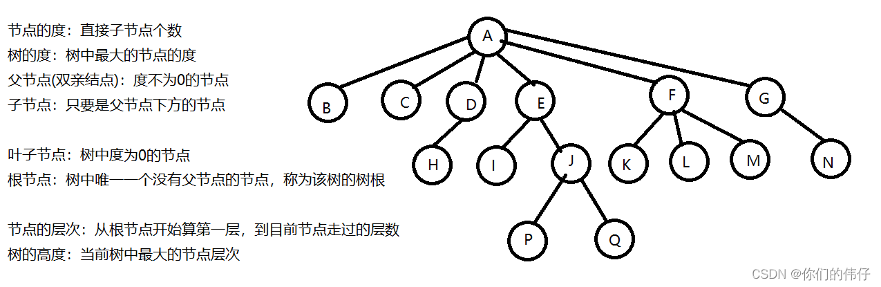 二叉树详解二叉树 节点个数和层关系 Csdn博客
