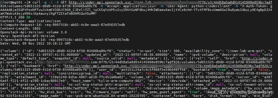 实例删除后volume仍然为in-use解决方法_volume is in use-CSDN博客