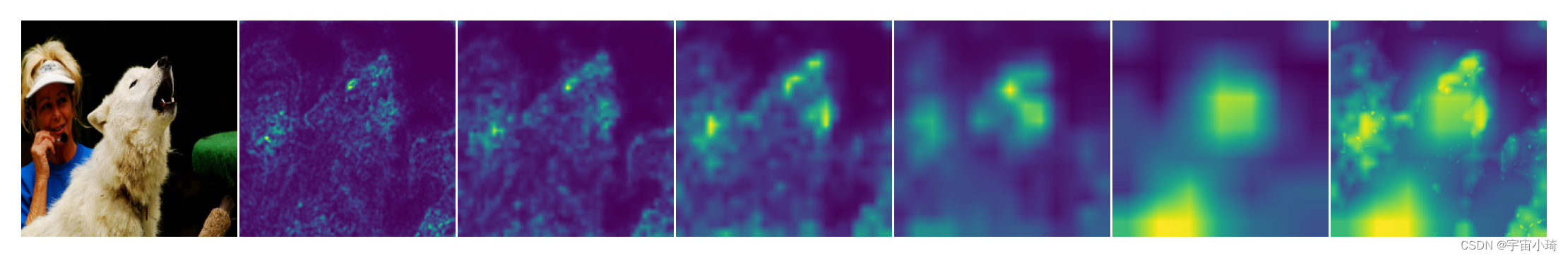 LayerCAM：Exploring Hierarchical Class Activation Maps for Localization-CSDN博客
