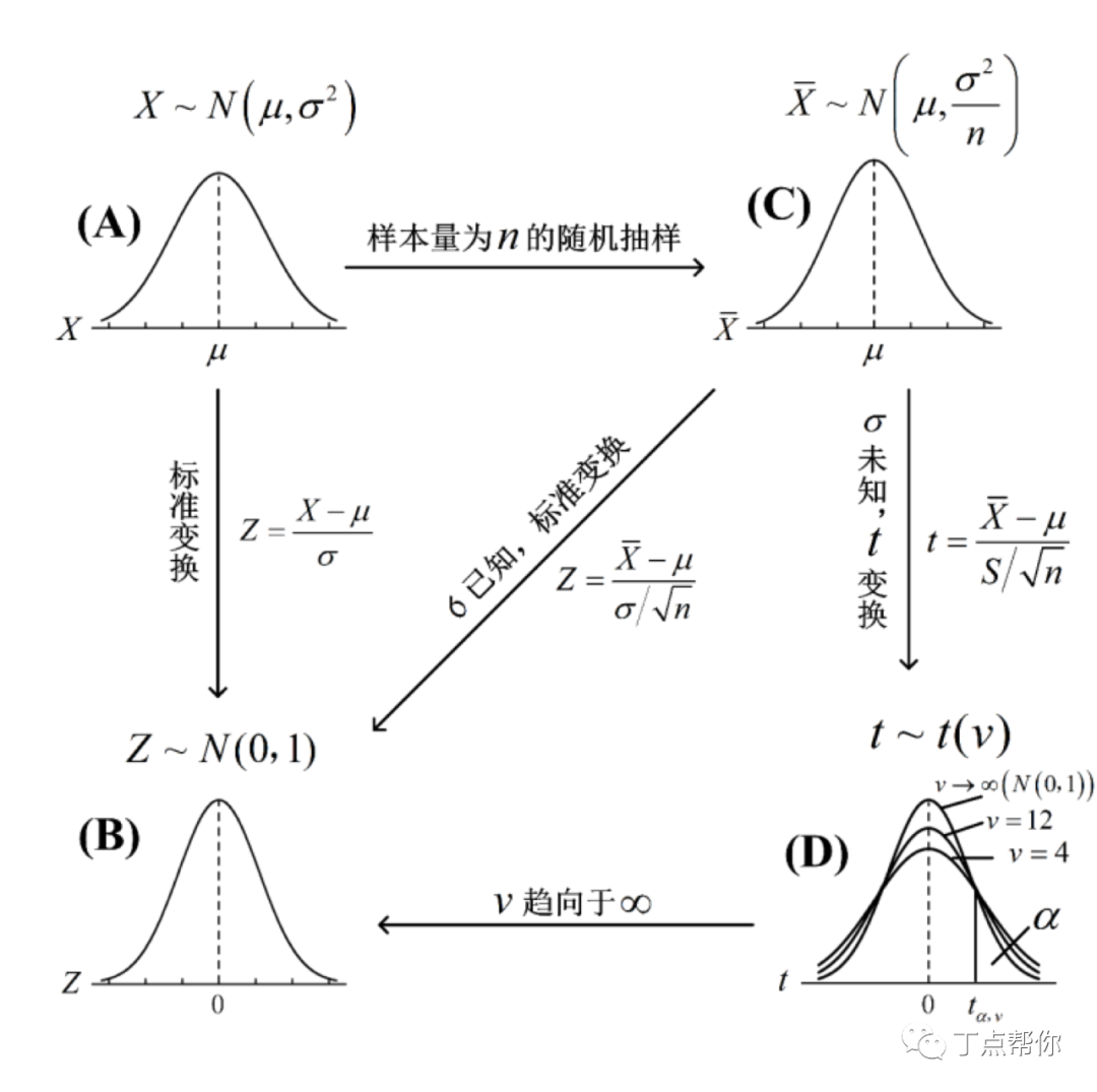重要统计公式及概率分布图_t分布计算公式-CSDN博客