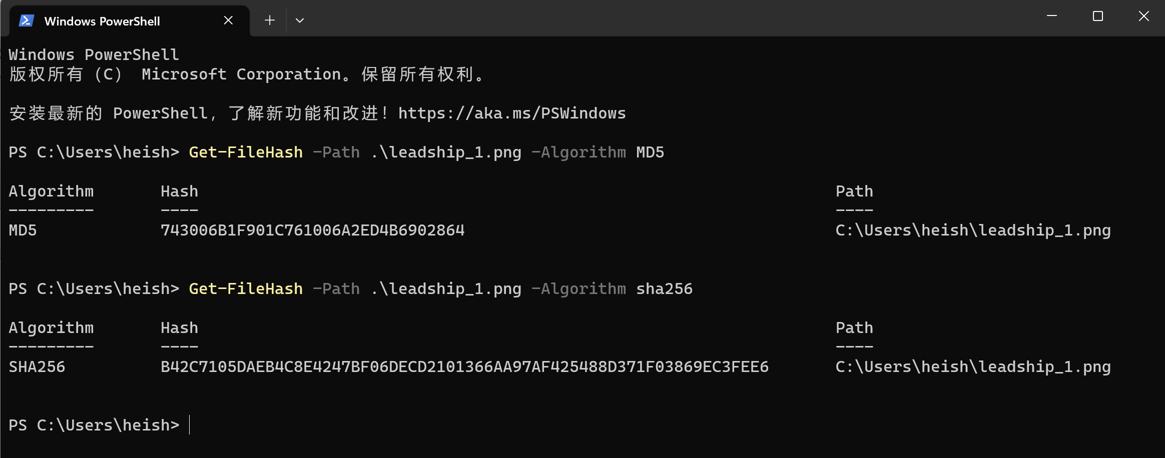 在PowerShell中计算文件哈希值：MD5与SHA-256的探索_powershell md5-CSDN博客