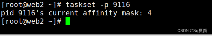 taskset命令详解_taskset -c_Sq夏颜的博客-CSDN博客