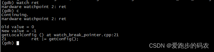 GDB watch 变量-CSDN博客