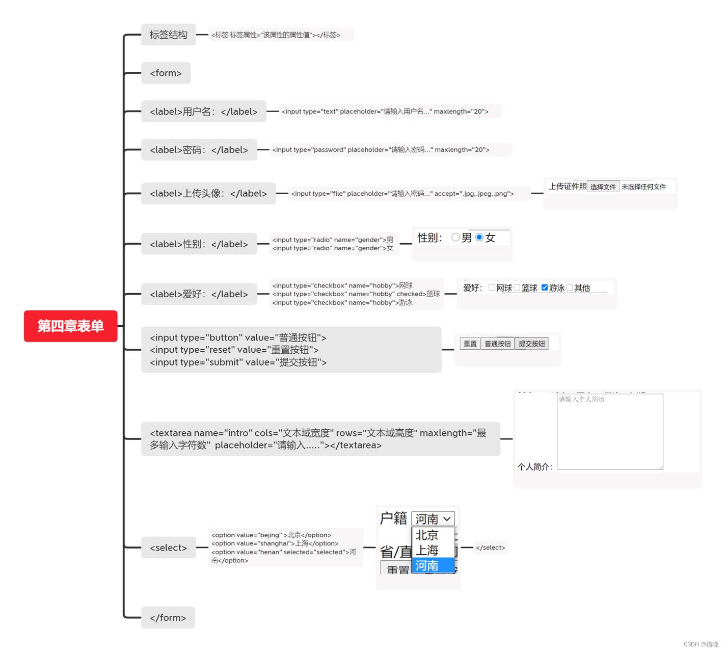 Form表单提供一个简单的form表单 表单提供一个复选框 复选框内容为 记住登录状态