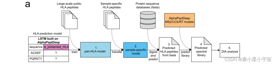 AlphaPeptDeep：用于预测蛋白质组学肽特性的模块化深度学习框架-CSDN博客