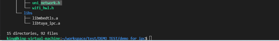 VSCode+MakeFile+SSH Remote Debug-CSDN博客