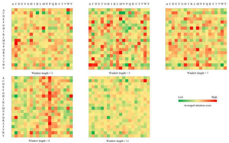 论文解读：Attention-based convolutional neural networks for protein-protein interaction site ...