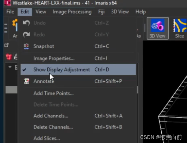 Imaris导入数据和初步使用_imaris教程-CSDN博客